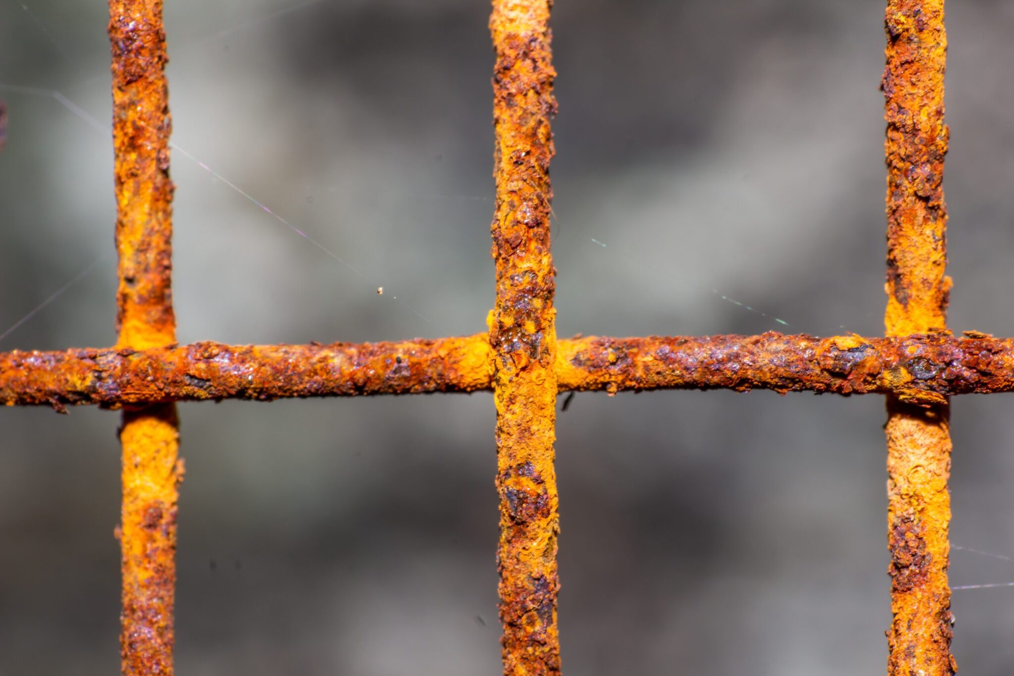 Fence Repair 101: Common Issues & Expert Solutions